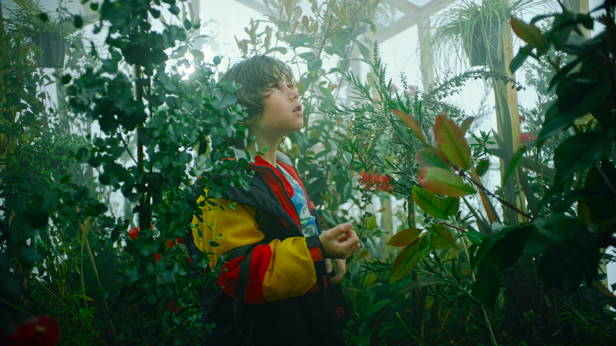 Sun Never Again – Collective Eye Films