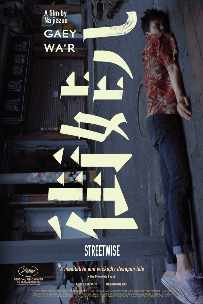 Streetwise – Collective Eye Films